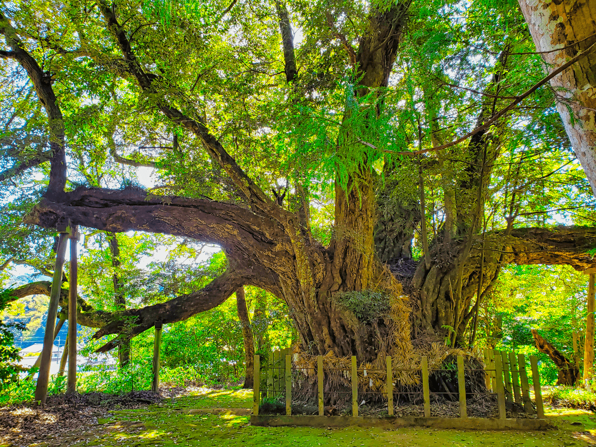 《島根県》穴場で不思議な場所をドライブ観光！絶景自然おもしろ旅行スポットを半日・日帰り旅【おすすめ人気定番から暇つぶし隠れ珍名所・2025年 ...